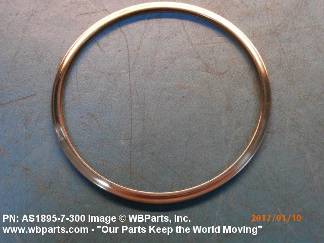 AS1895-7-300 - SEAL Q (1/50) | WBParts